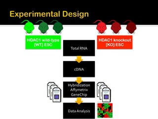 Simple Microarray Analysis Using R | PDF | Genetics | Science
