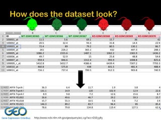 Simple Microarray Analysis Using R | PDF | Genetics | Science