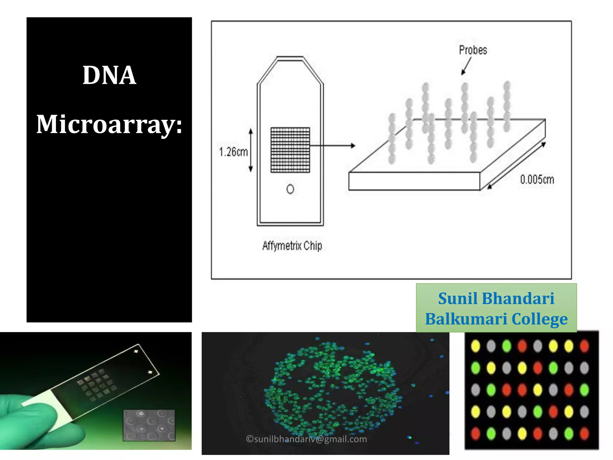 Microarray | PPT