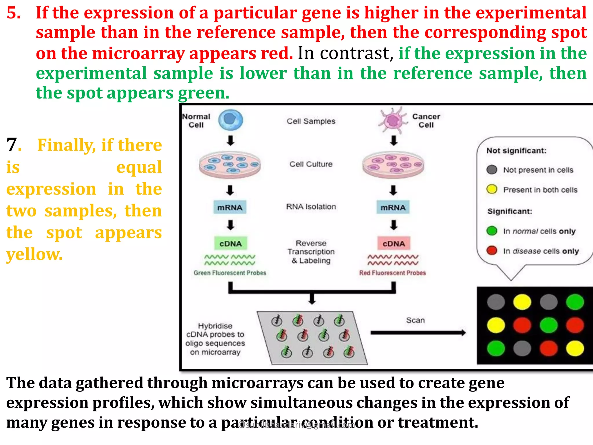 Microarray | PPT