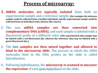Microarray | PPT