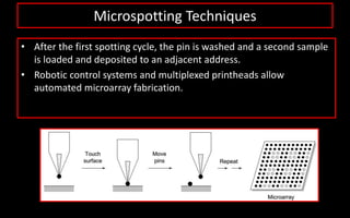 Microarray full detail | PPTX