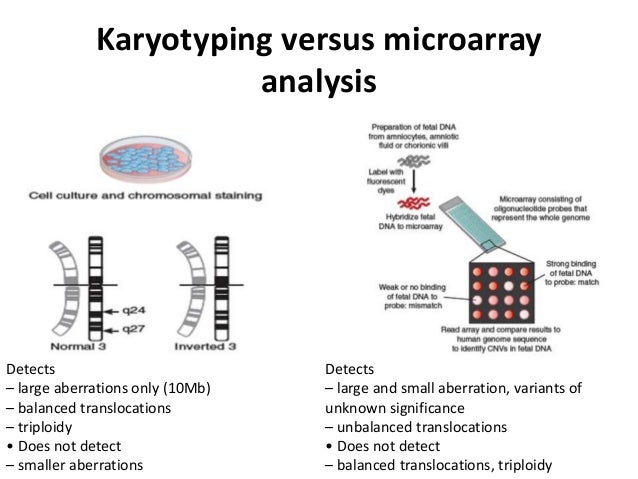 Micro Array Analysis