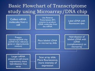 Microarray and dna chips for transcriptome study | PPTX