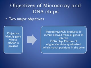 Microarray and dna chips for transcriptome study | PPTX