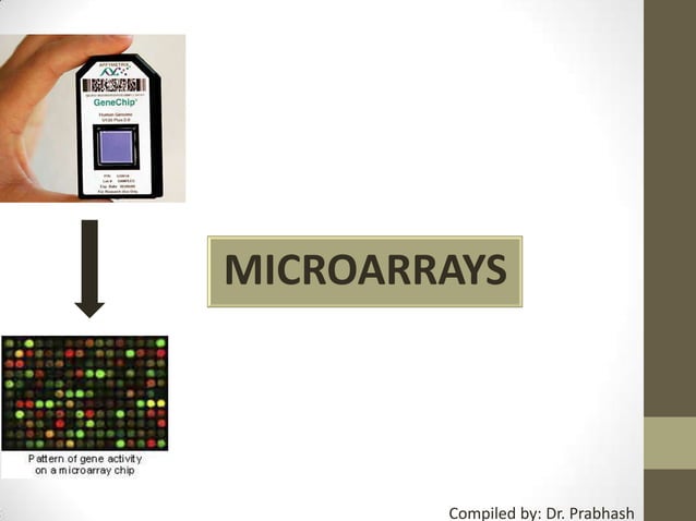 Microarray by dr.prabhash | PPTX