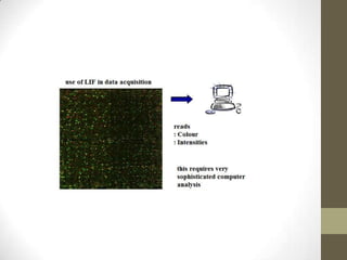 Microarray by dr.prabhash | PPTX