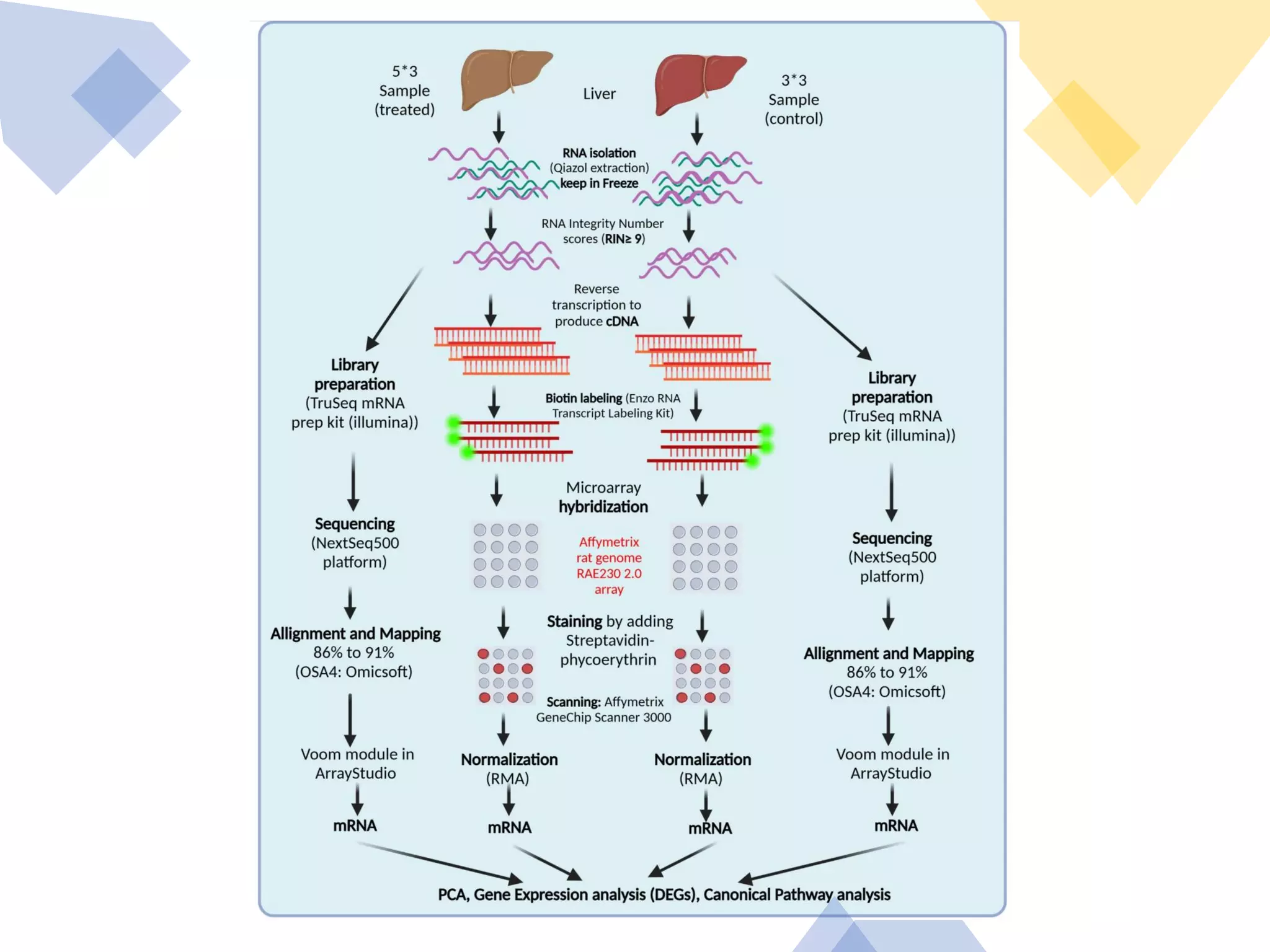 Microarray Case Study (analysis) | PDF