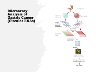 Microarray Case Study (analysis) | PDF