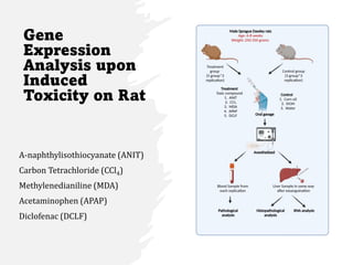 Microarray Case Study (analysis) | PDF