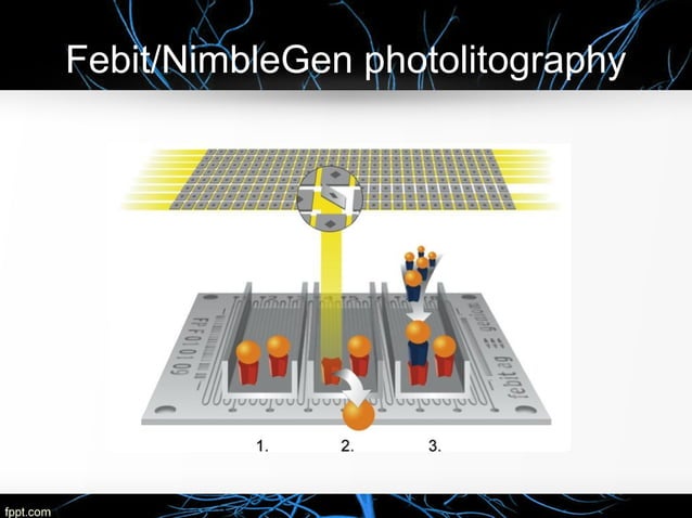 Microarray(cell biology) | PPT
