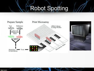 Microarray(cell biology) | PPT