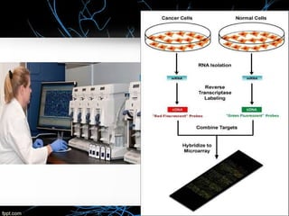 Microarray(cell biology) | PPT