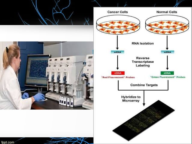 Microarray(cell biology) | PPT
