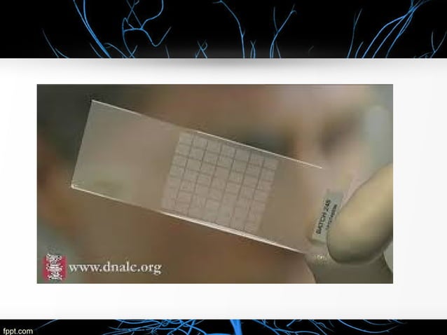 Microarray(cell biology) | PPT