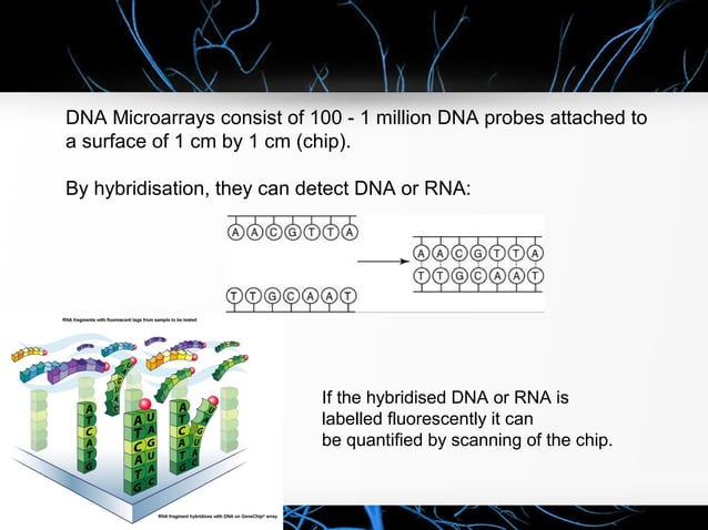 Microarray(cell biology) | PPT