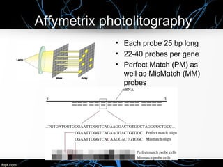 Microarray(cell biology) | PPT