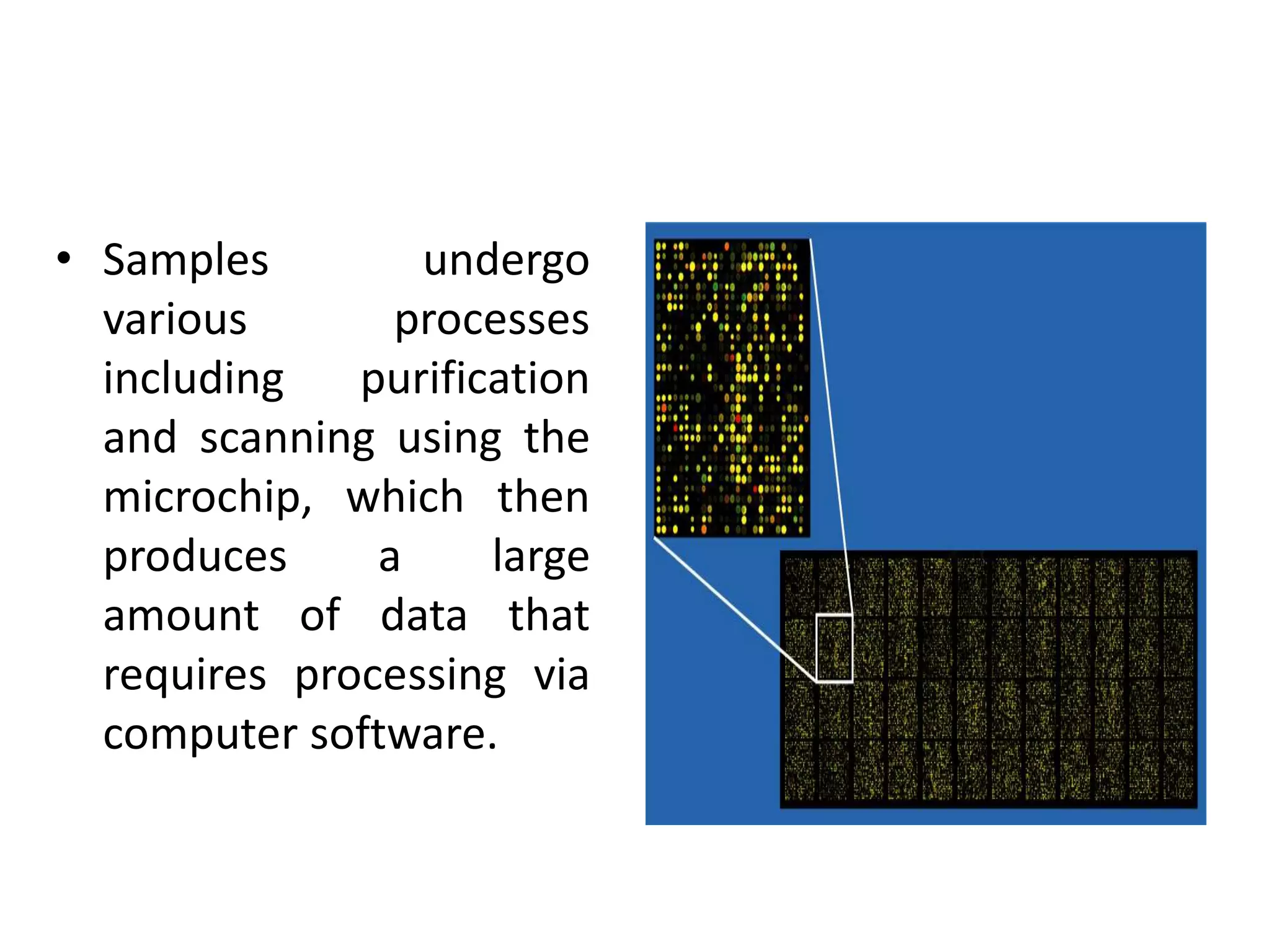Microarray data analysis _ by Ritesh Kumar | PPT Microarray data analysis _ by Ritesh Kumar | PPT