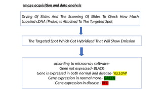 Microarray in crop improvement (3) (1).pptx