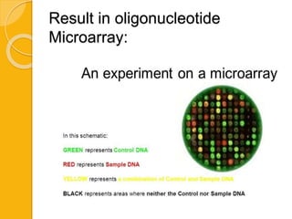 Microarray of long oligonucleotide | PPT