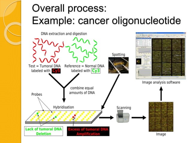Microarray of long oligonucleotide | PPT