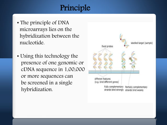 Microarray (DNA and SNP microarray) | PPTX | Chemistry | Science