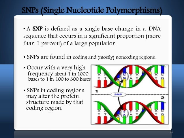 Microarray (DNA and SNP microarray)