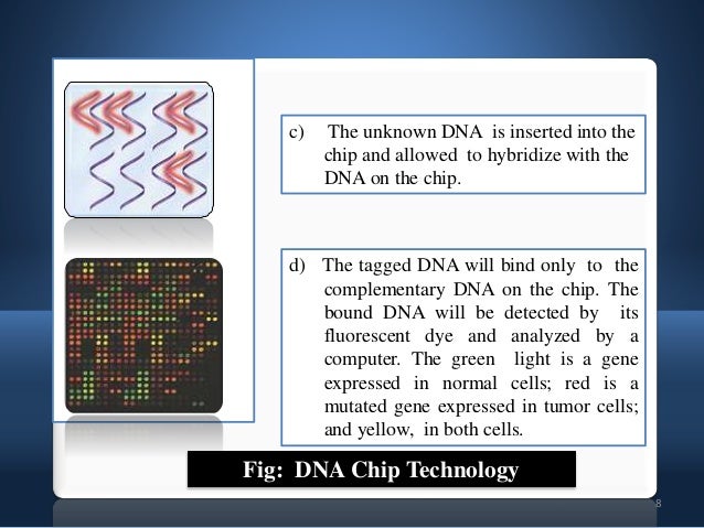 Microarray (DNA and SNP microarray)