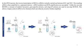 Microarray, RT-PCR, NB, Molecular beacon.pptx