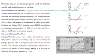 Microarray, RT-PCR, NB, Molecular beacon.pptx