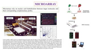 Microarray, RT-PCR, NB, Molecular beacon.pptx