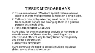 MICROARRAYS - Bioinformatics and Genetic Engineering | PPTX ...