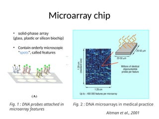 microarrays.pptx molecular diagnostic by taimoor | PPT