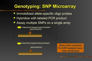 Microarrays;application | PPT