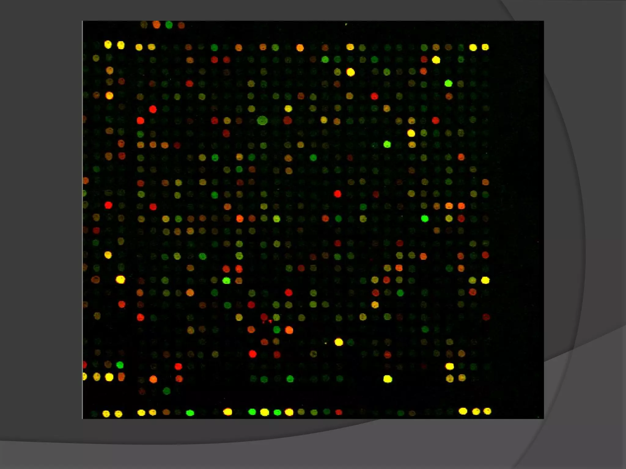Microarrays Databasespptx Databases Computer Software And Applications