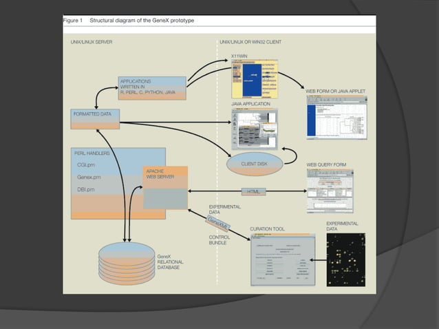 Microarrays Databasespptx Databases Computer Software And Applications