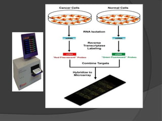 Microarrays Databases.pptx
