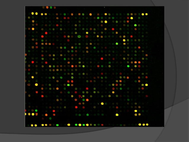 Microarrays Databases.pptx | Databases | Computer Software and Applications