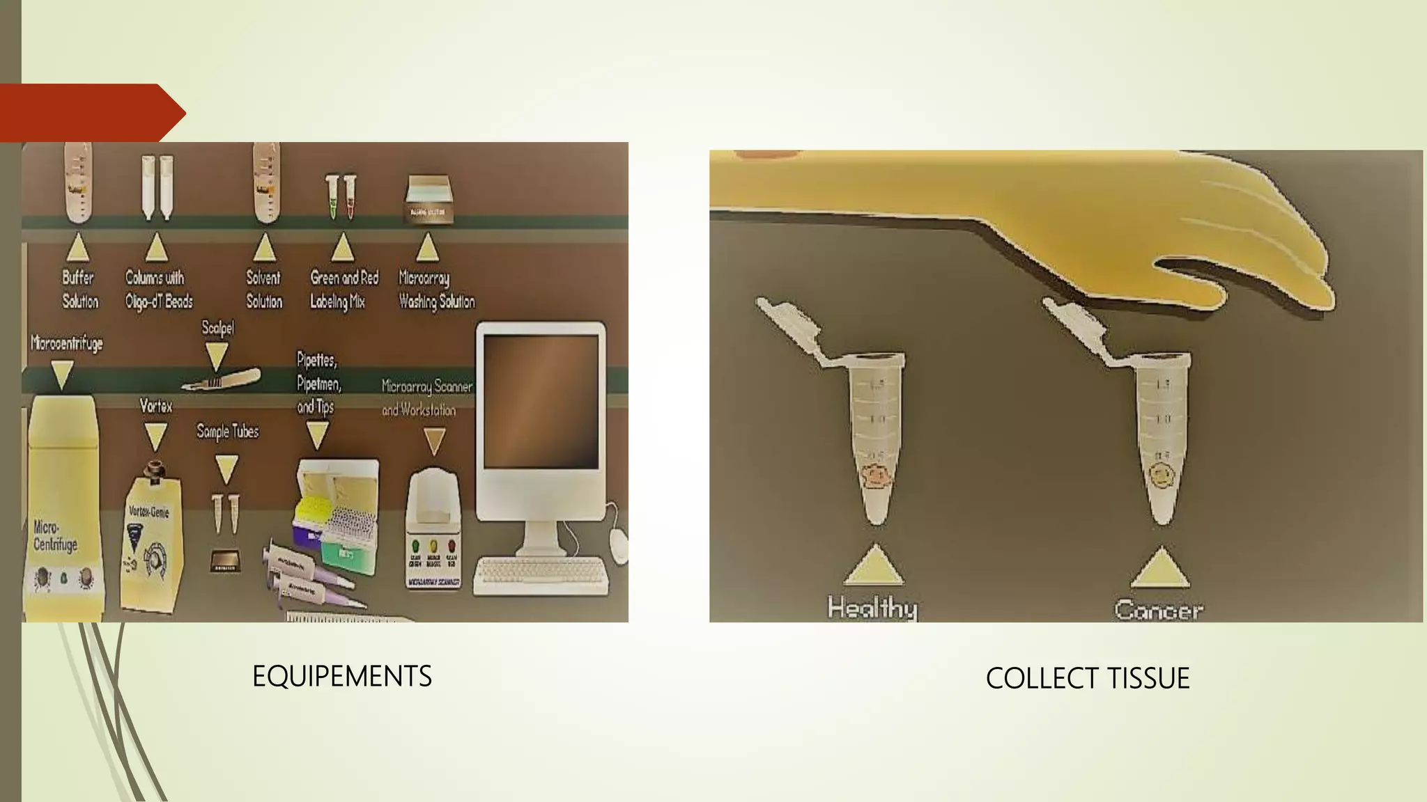 DNA MICROARRAY TECHNIQUES | PPTX