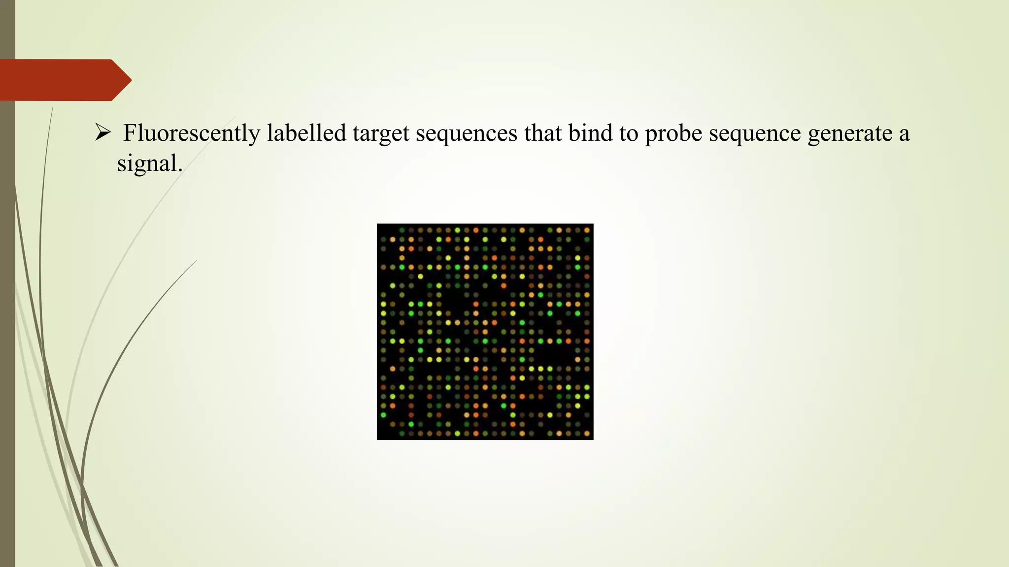 DNA MICROARRAY TECHNIQUES | PPTX