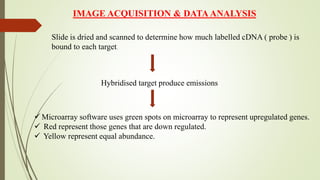 DNA MICROARRAY TECHNIQUES | PPTX