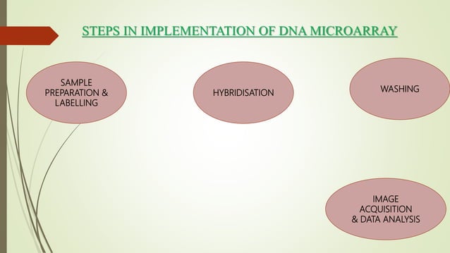 DNA MICROARRAY TECHNIQUES | PPTX
