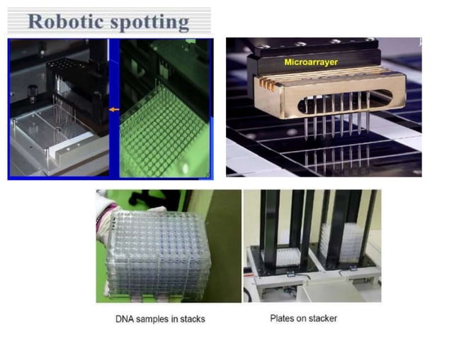 Microarray technique | PPTX
