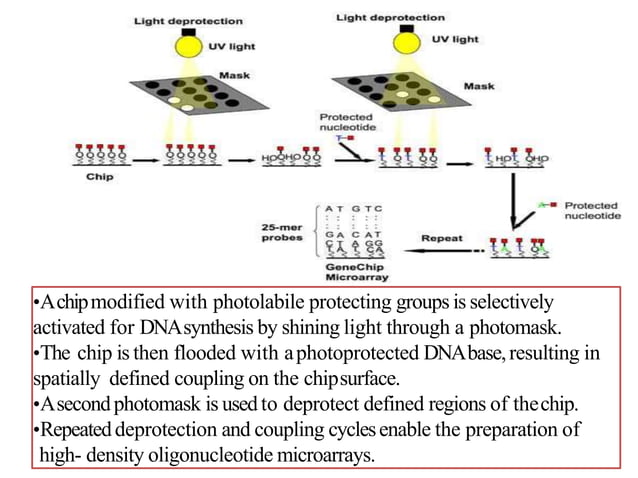 Microarray technique | PPTX