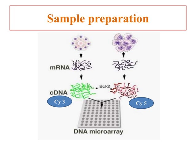 Microarray technique | PPTX