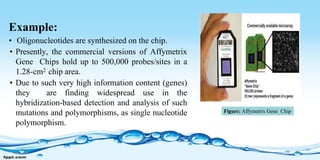 Microarray technology.pptx