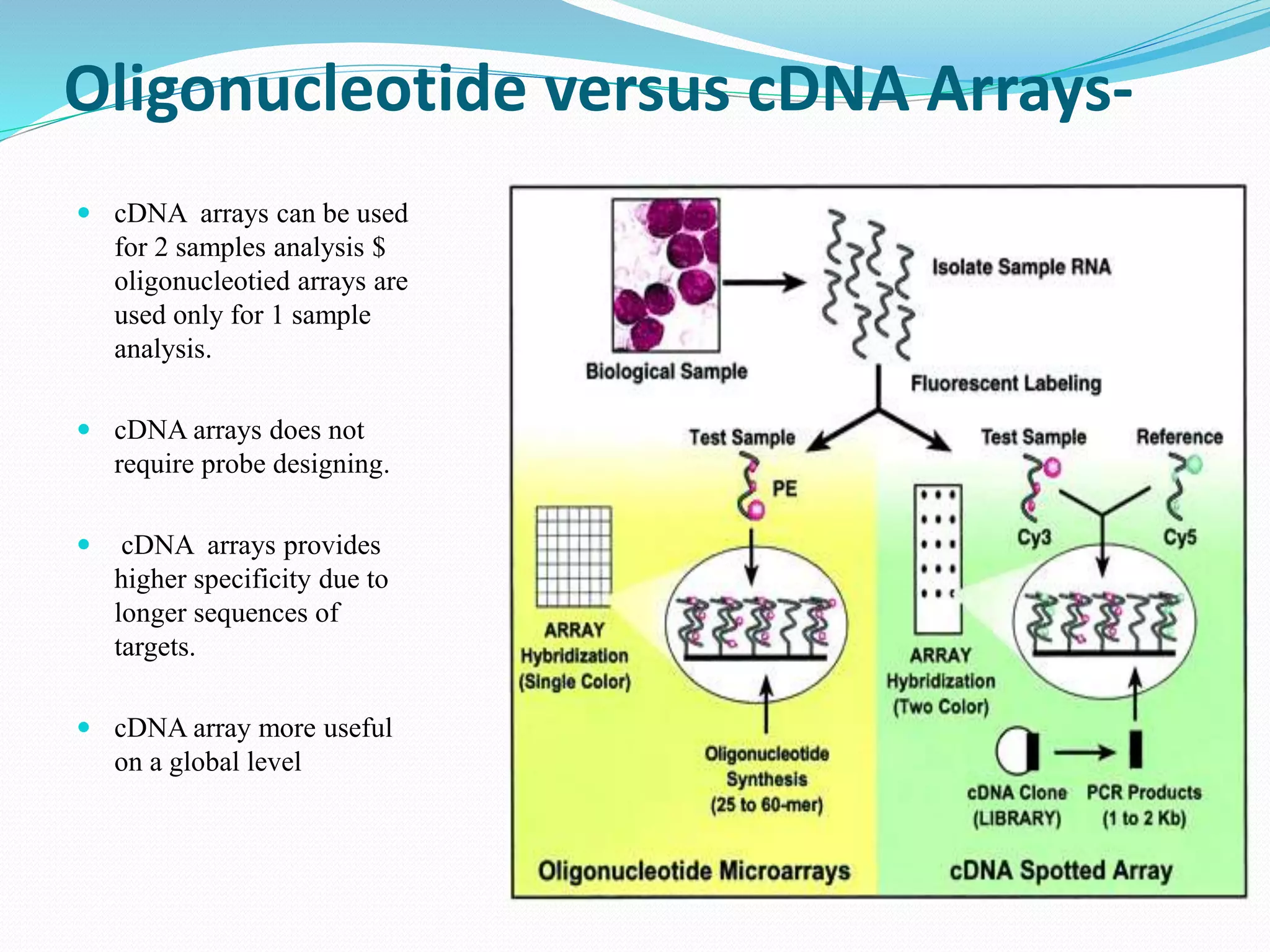 Microarray technology, biochip, DNA chip | PPTX