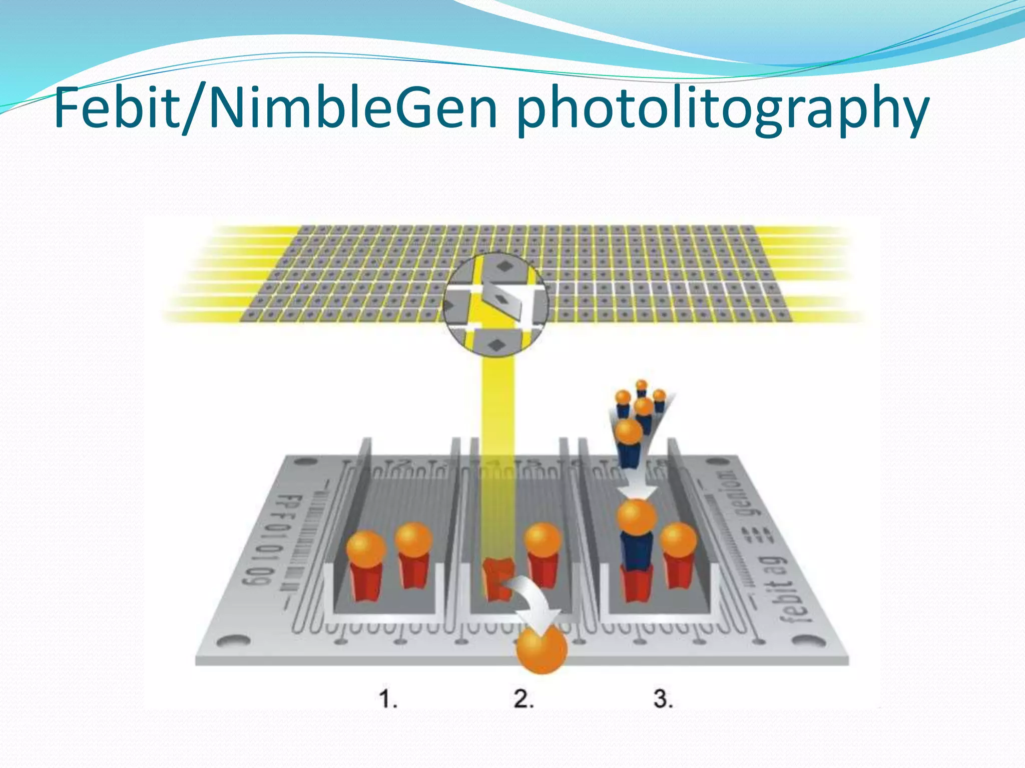 Microarray technology, biochip, DNA chip | PPTX