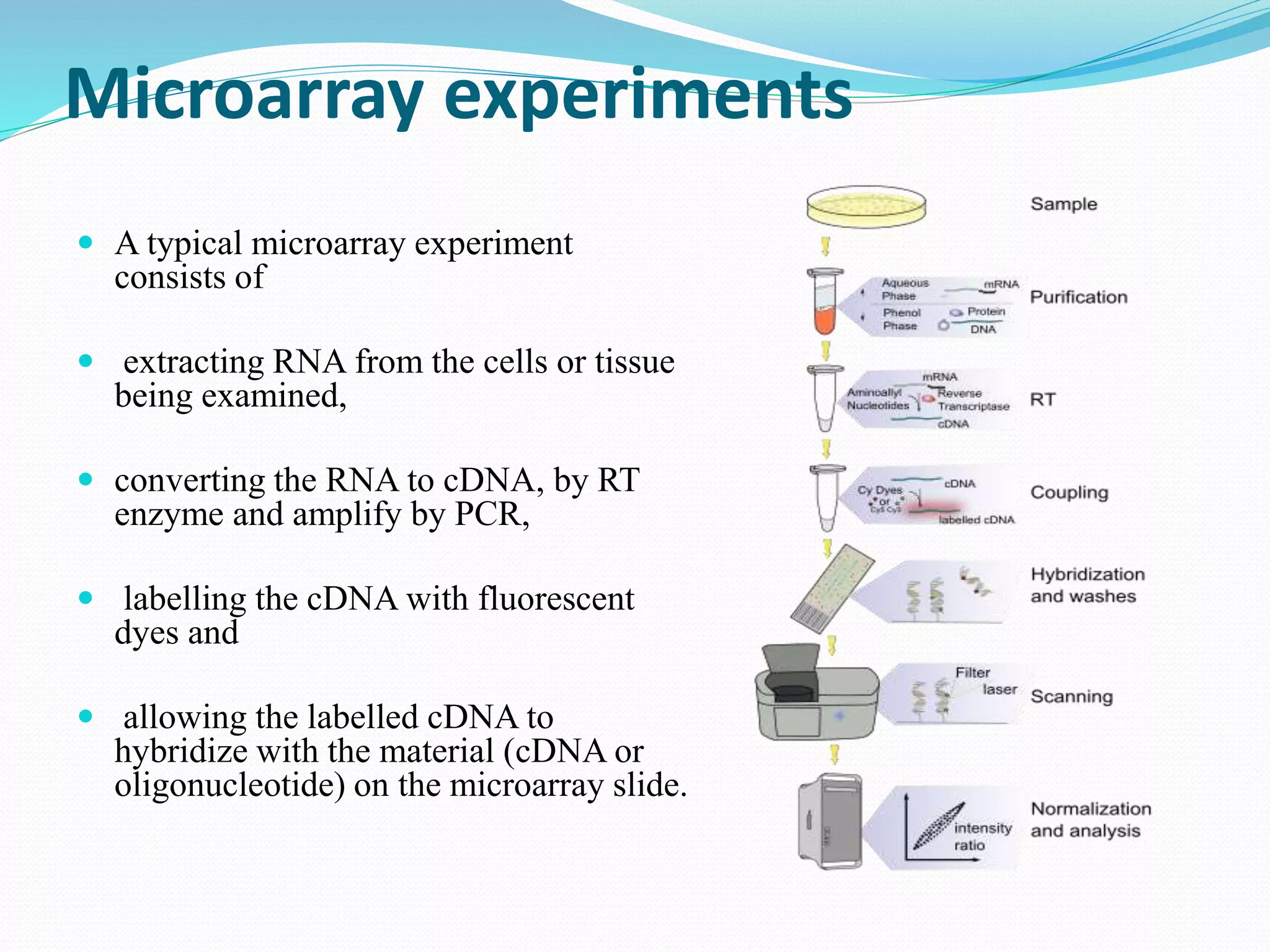 Microarray Technology Biochip Dna Chip Pptx