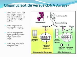 Microarray technology, biochip, DNA chip | PPTX